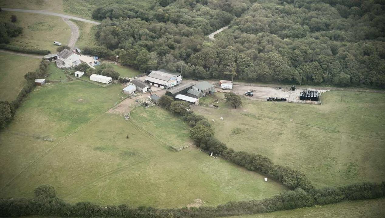 WOODFIELD ANIMAL SANCTUARY REVAMP 2024/2025 – Woodfield Animal Sanctuary